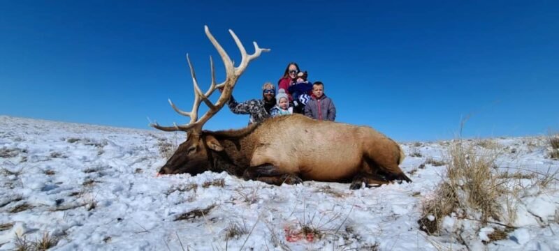 Elk Hunt - Colorado Plains Elk Hunting