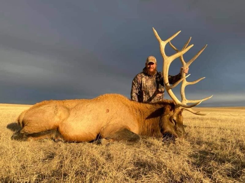 Elk Hunt - Colorado Plains Elk Hunting