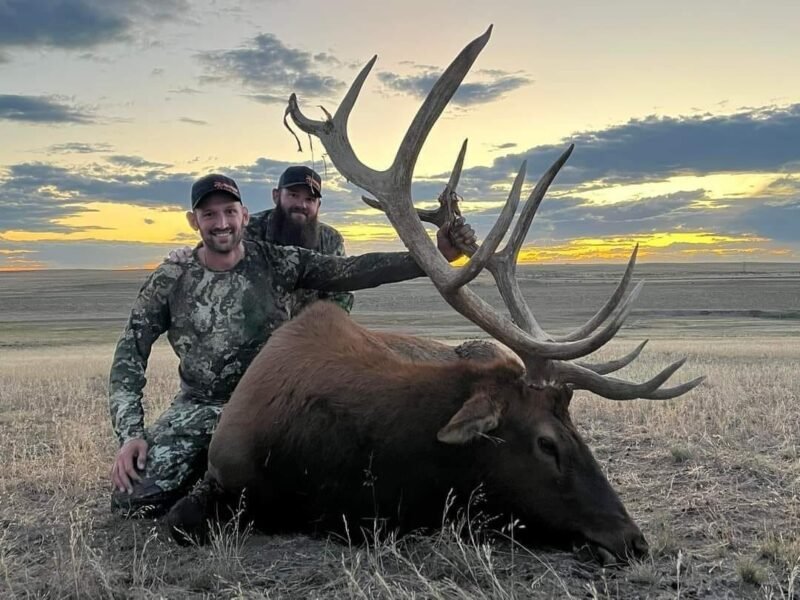 Elk Hunt - Colorado Plains Elk Hunting