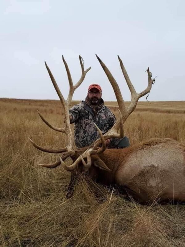 Elk Hunt - Colorado Plains Elk Hunting